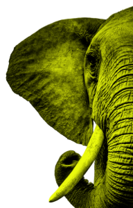 Mobile video surveillance app - ANAVEO