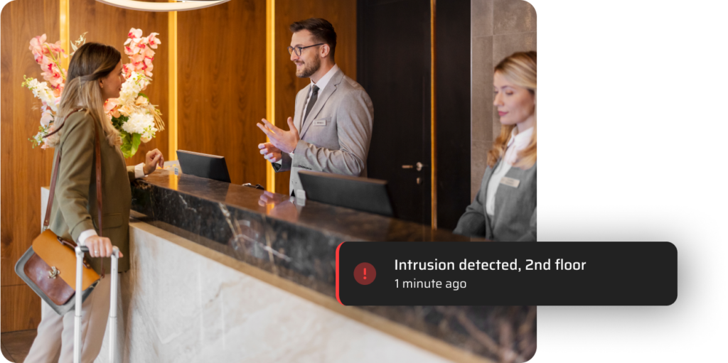 Intelligent video surveillance and electronic security | ANAVEO