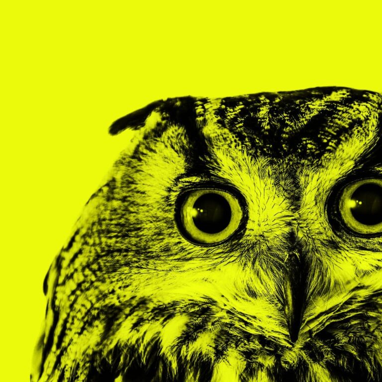 Video surveillance secures your premises - ANAVEO