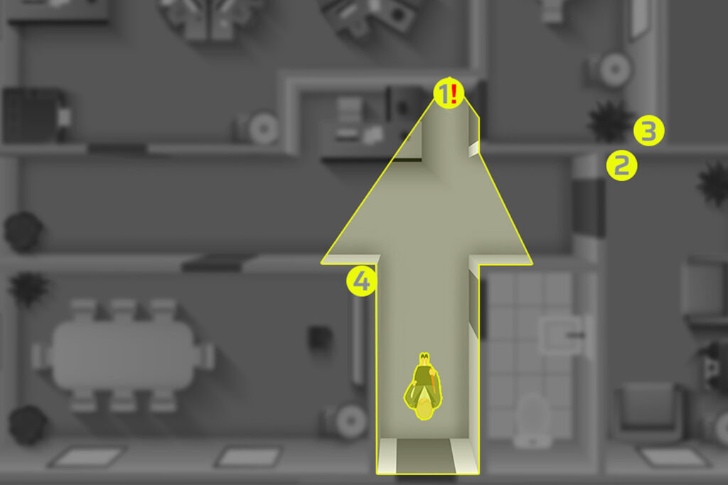 Mobile video surveillance app - ANAVEO